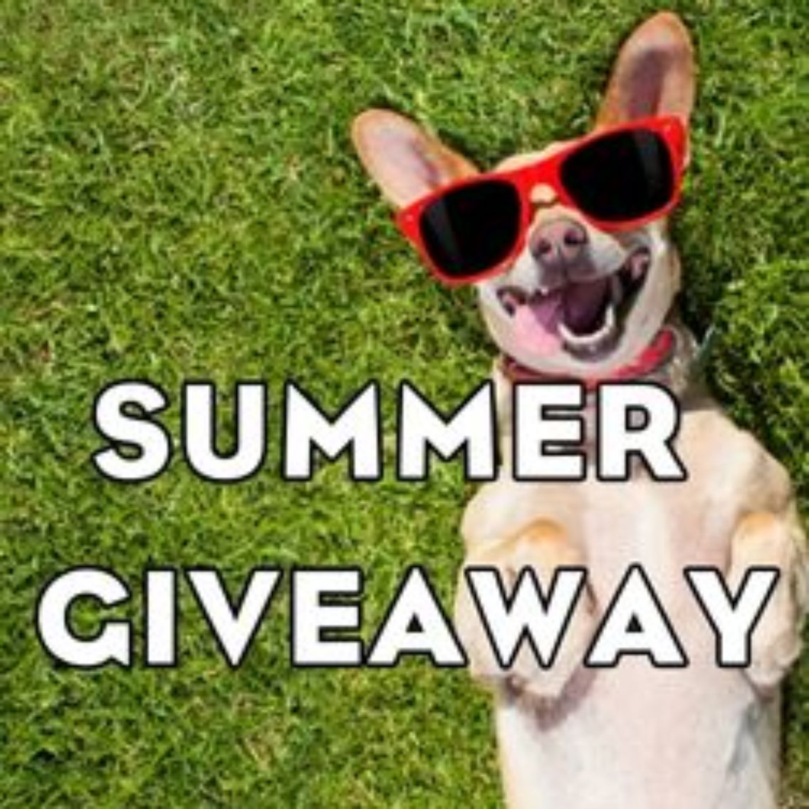 Pet Insurance Cover and Quotes | Everypaw