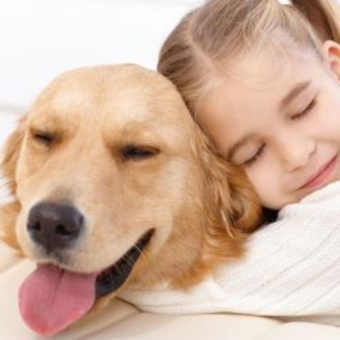 Pet Insurance Cover and Quotes | Everypaw
