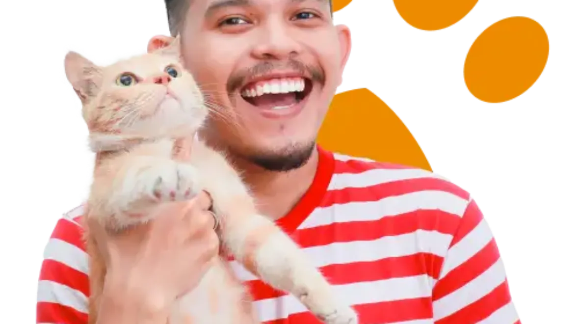 Pet Insurance Cover and Quotes | Everypaw