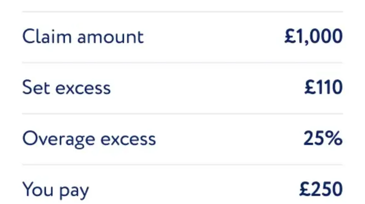 Pet Insurance Cover and Quotes | Everypaw