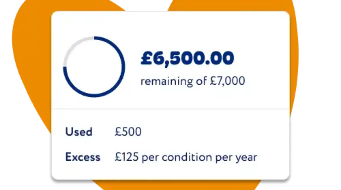 Pet Insurance Cover and Quotes | Everypaw