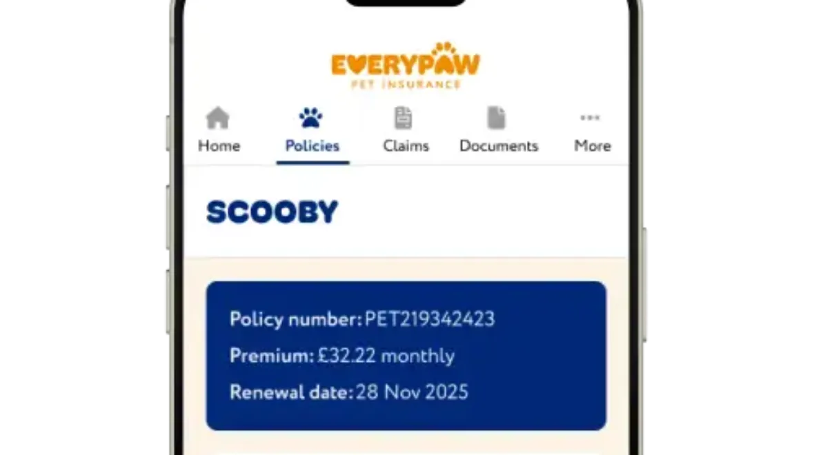 Pet Insurance Cover and Quotes | Everypaw