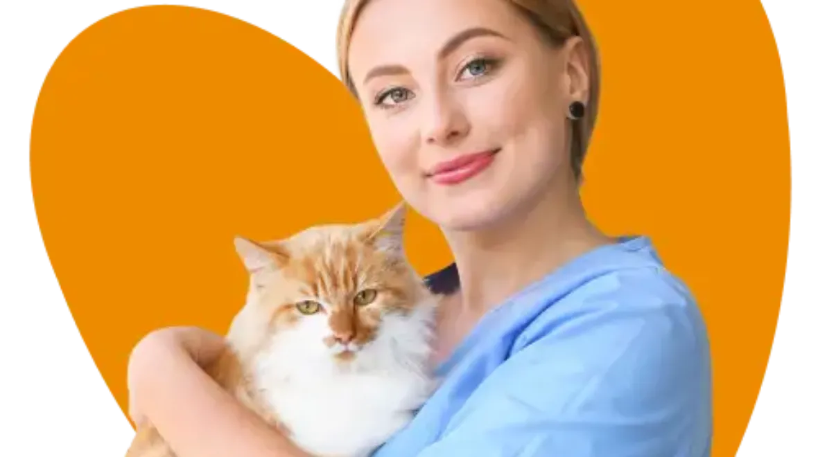 Pet Insurance Cover and Quotes | Everypaw