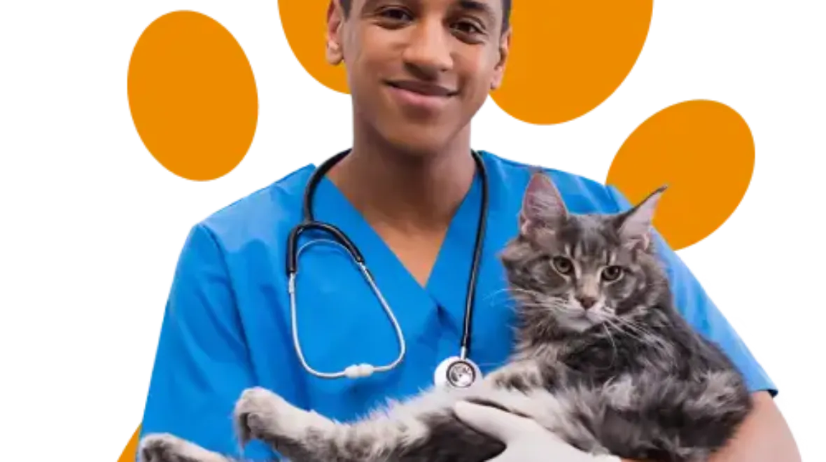 Pet Insurance Cover and Quotes | Everypaw