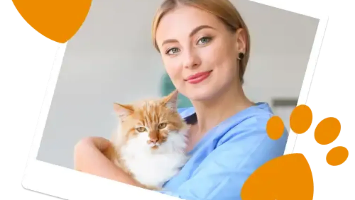 Pet Insurance Cover and Quotes | Everypaw