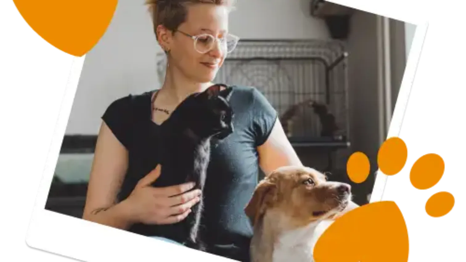 Pet Insurance Cover and Quotes | Everypaw