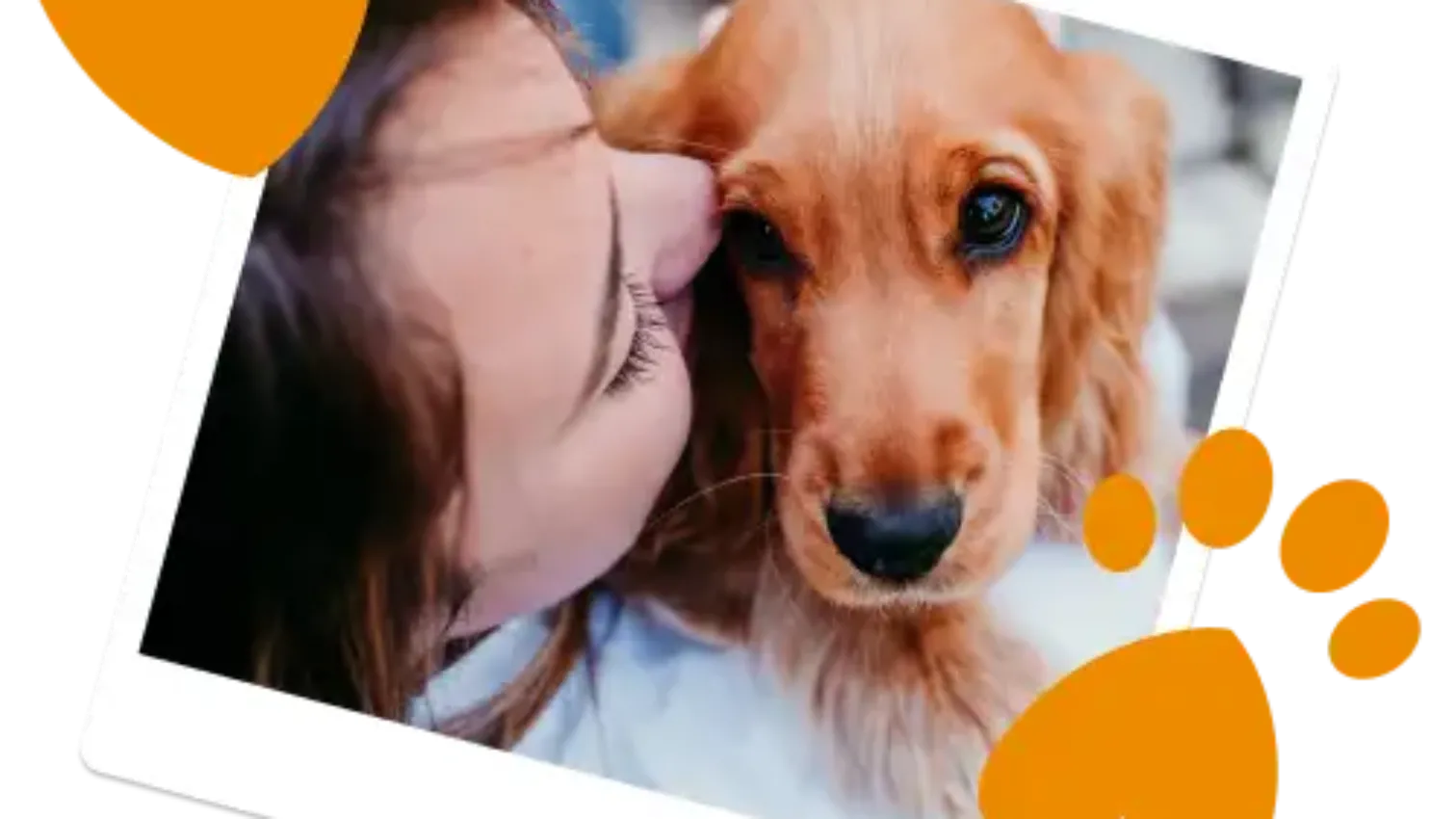 Pet Insurance Cover and Quotes | Everypaw