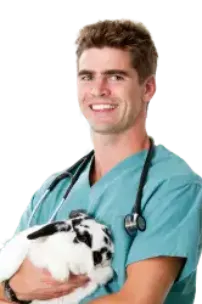 Pet Insurance Cover and Quotes | Everypaw