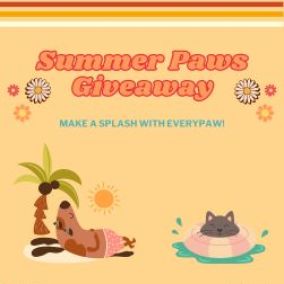 Pet Insurance Cover and Quotes | Everypaw