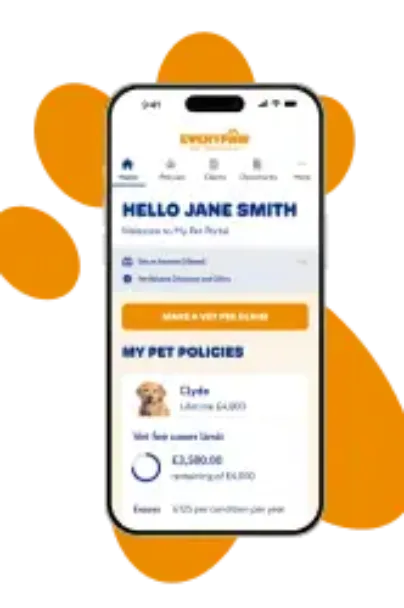 Pet Insurance Cover and Quotes | Everypaw