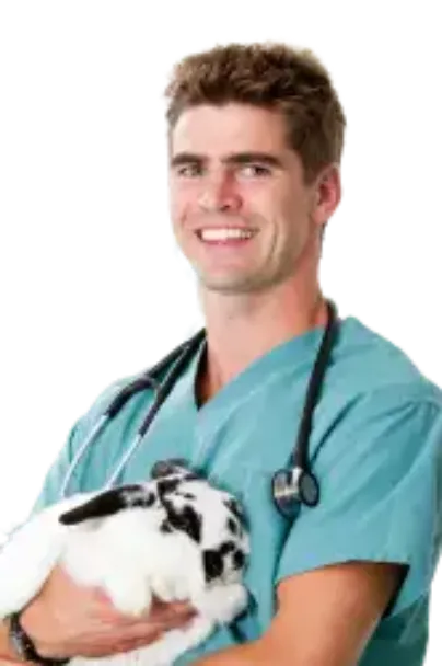 Pet Insurance Cover and Quotes | Everypaw