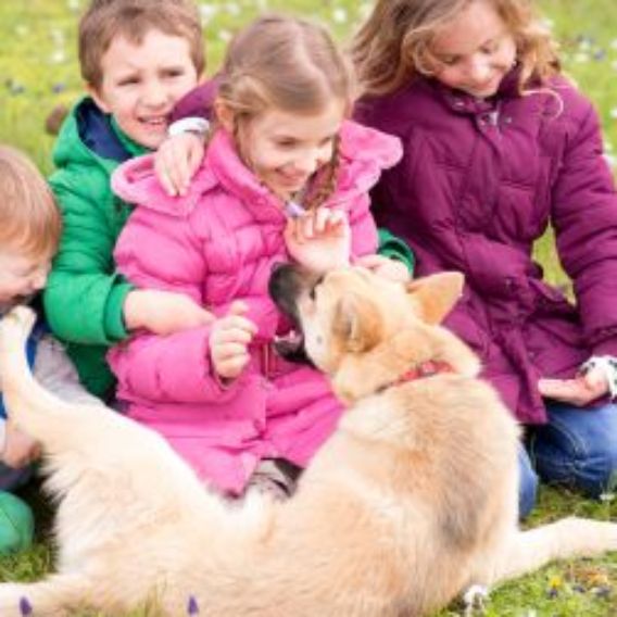 Pet Insurance Cover and Quotes | Everypaw